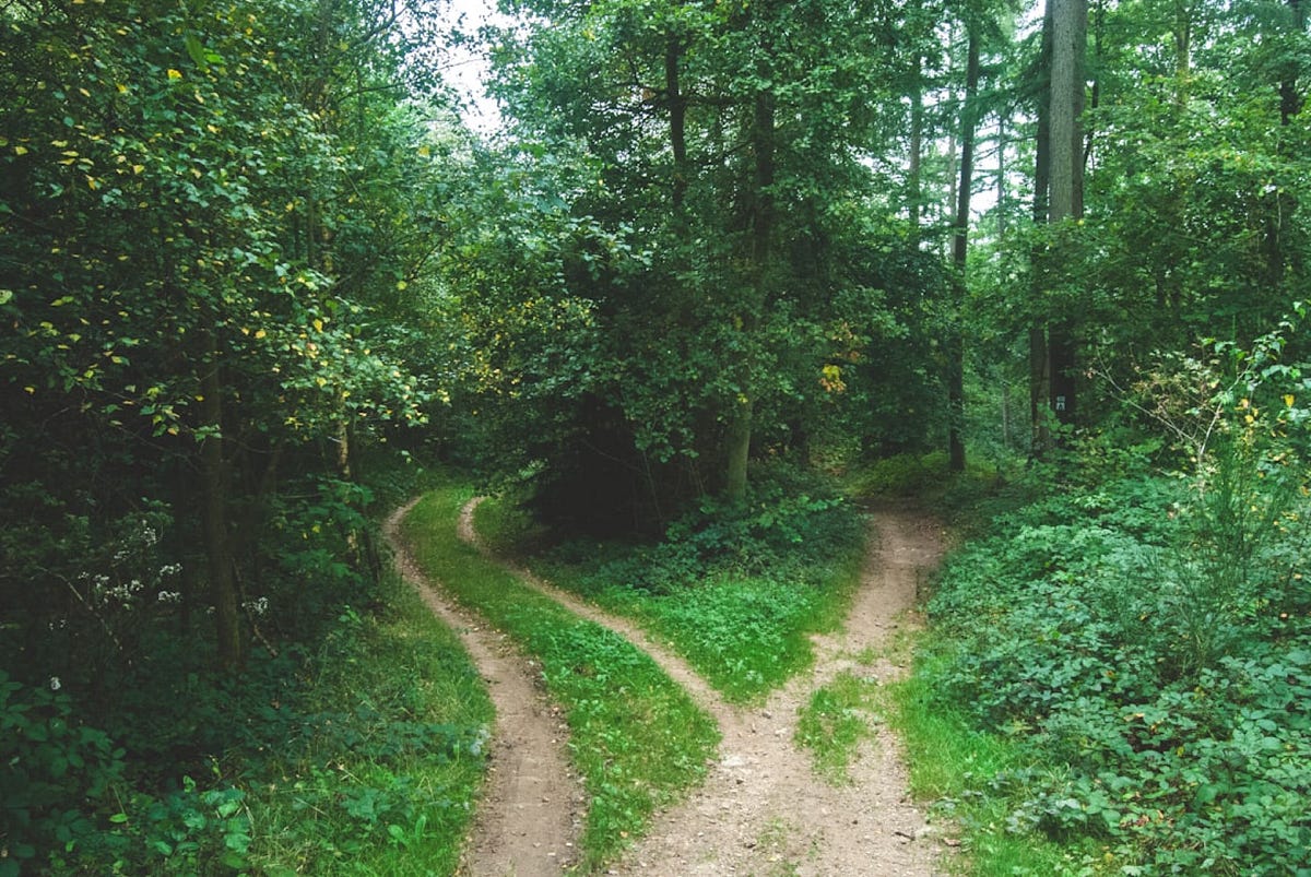 There Are Two Paths, Choose One | by Leilah Kiakojori 🦋 | Medium