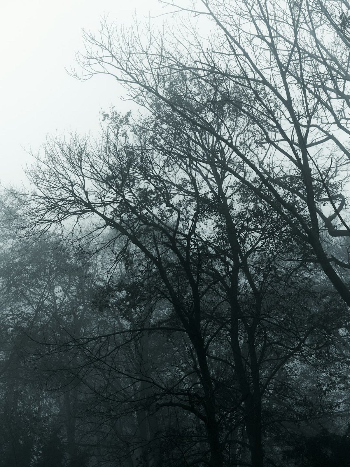 The Paper She Left – Part 2. When the world stops breathing just… | by ...