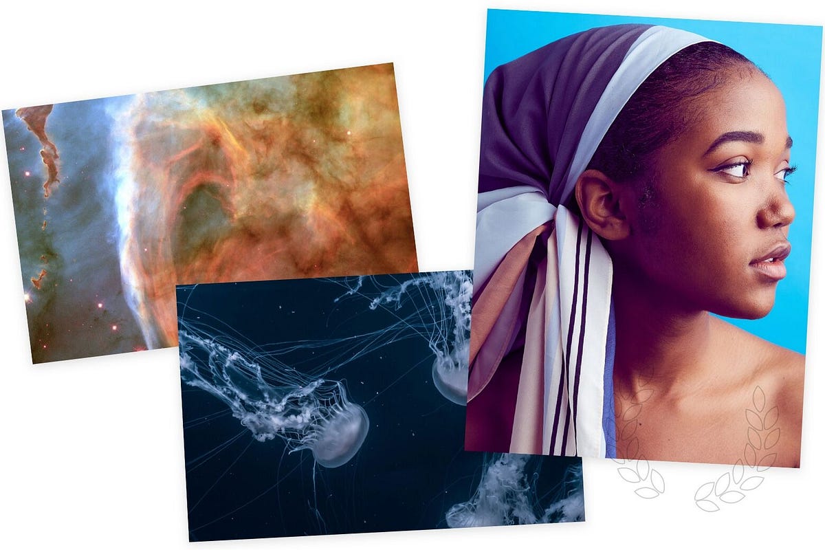 Presenting Unsplash Awards: A celebration of the people powering the ...