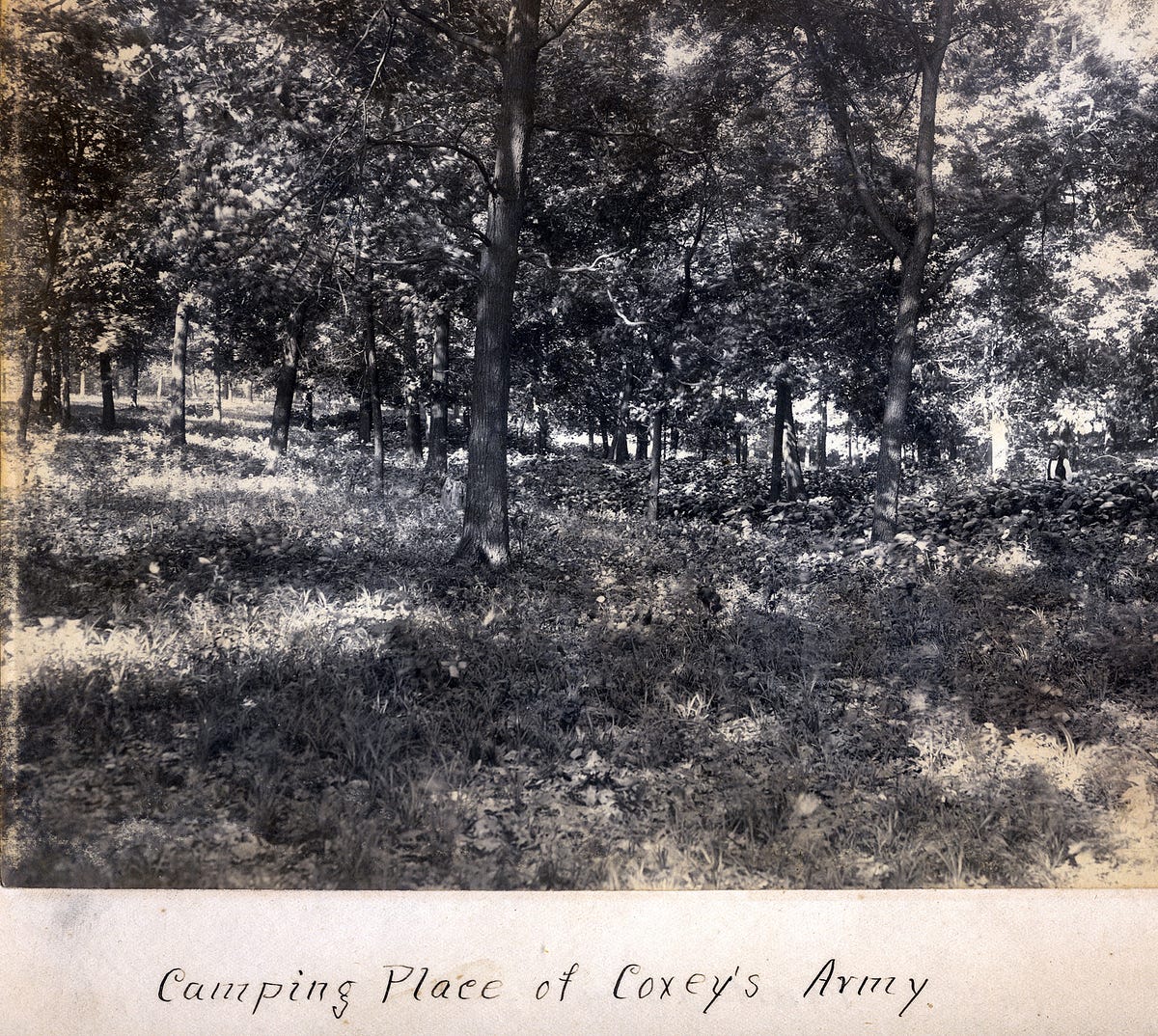 The day Coxey’s Army invaded Monmouth | by Jeff Rankin | Medium