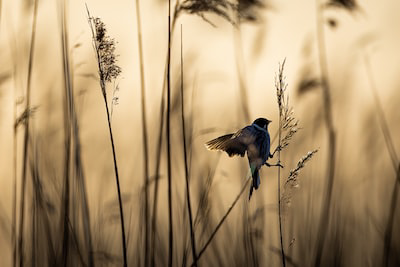 Love of Life Awakens Only for a Moment | by Nikolina Ellington | Medium