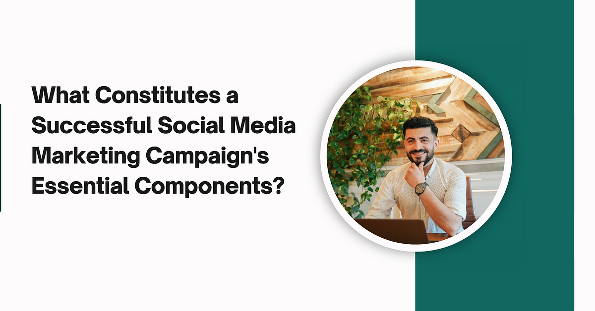 What Constitutes a Successful Social Media Marketing Campaign’s ...