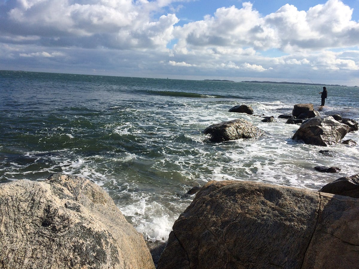 A Walk Through the Glorious Enders Island | by Lynn L. Alexander | the ...