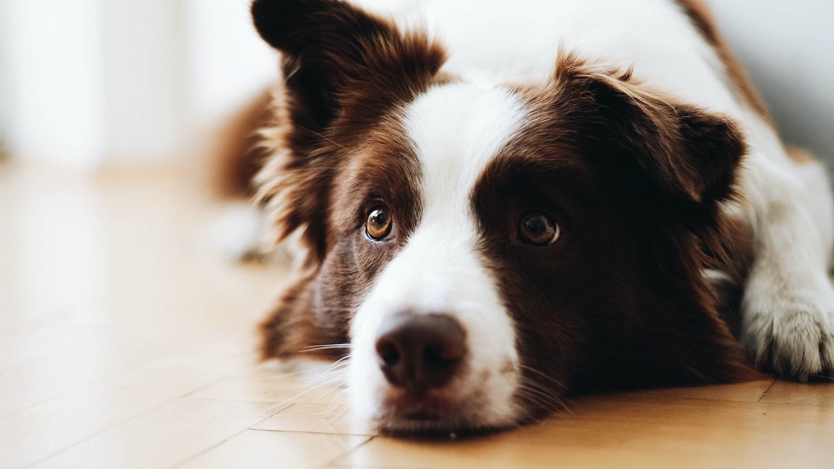 How To Enjoy Writing Every Day Even When We’re Not Inspired | by Steve ...