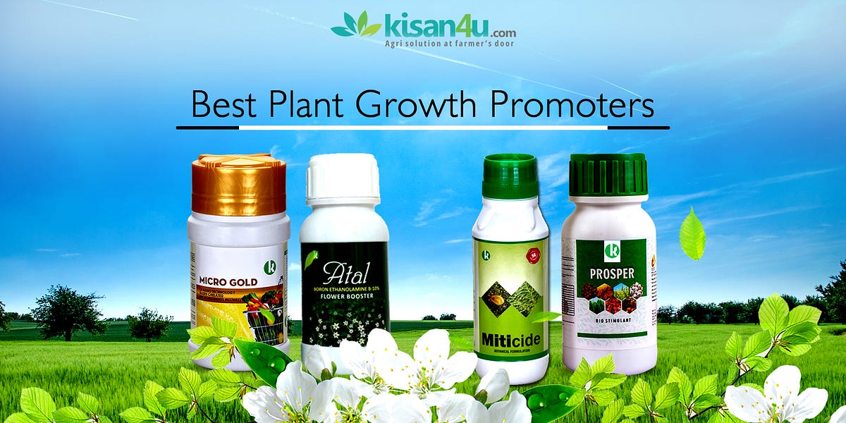 Boost Your Garden’s Productivity with Organic Plant Growth Promoters ...