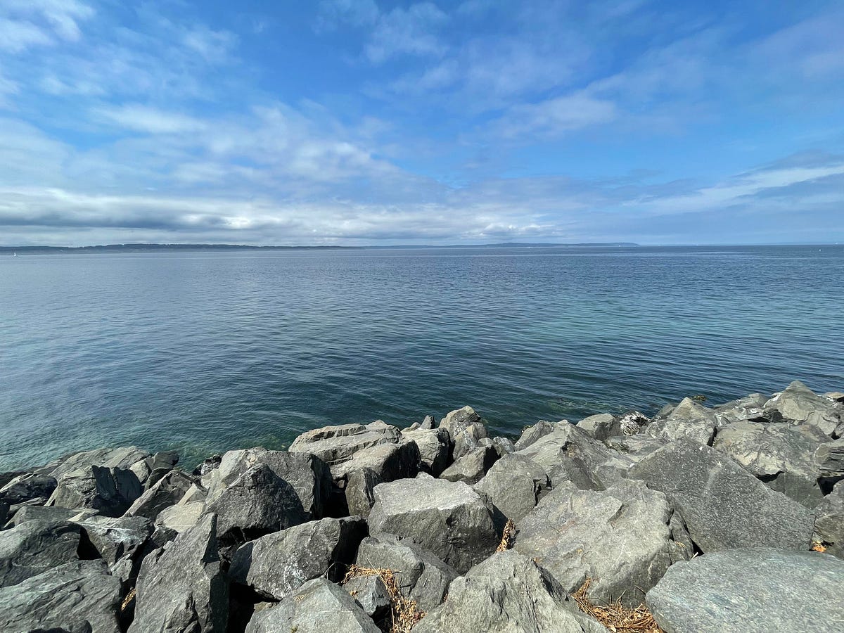 Dear…August. August, Seattle, Everything | by Yun Kang | Medium
