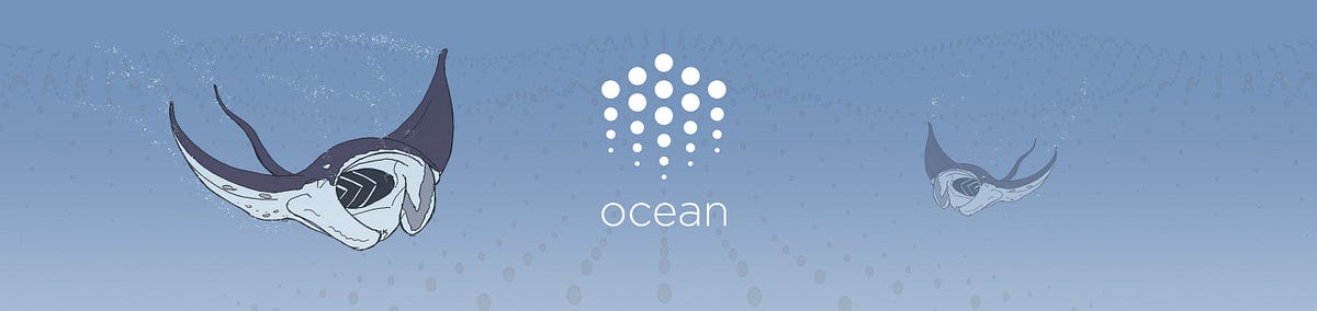 Project Manta Ray — Data Science powered by Ocean Protocol | by Marcus ...