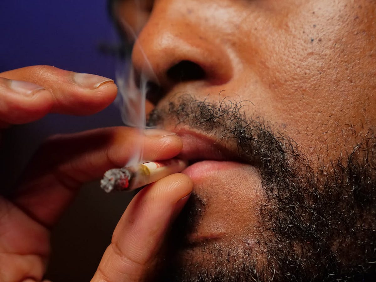 How to Make a Blunt Burn Slower🔥 (2024) | by Kevin Alghul | Apr, 2024 ...