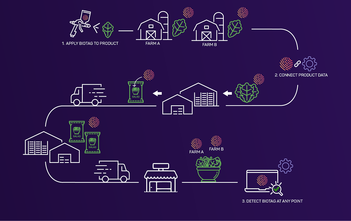 Improving food safety with traceability | by Anita Ludwar | Medium