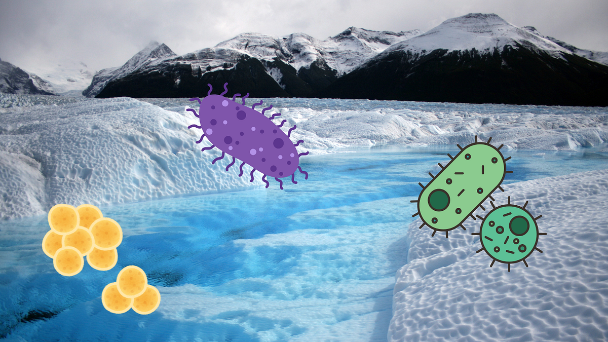Microbes Strike Back and Join Us in the Climate Battle | by Silvia PM ...