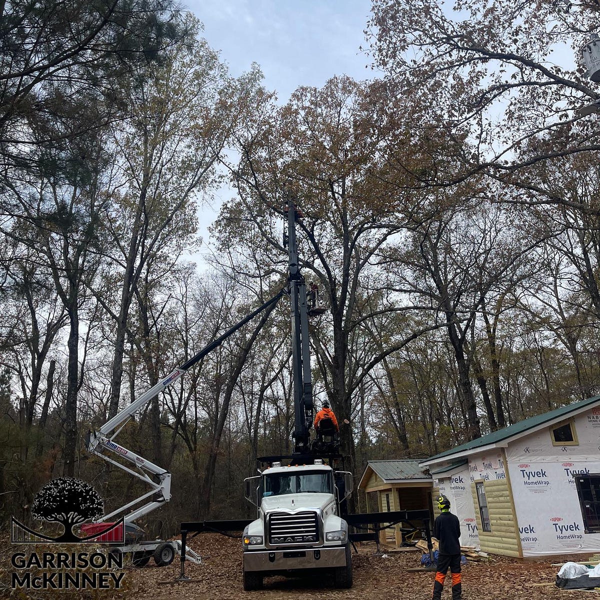 Mantachie | 5-Star Tree Removal & Stump Grinding | Medium