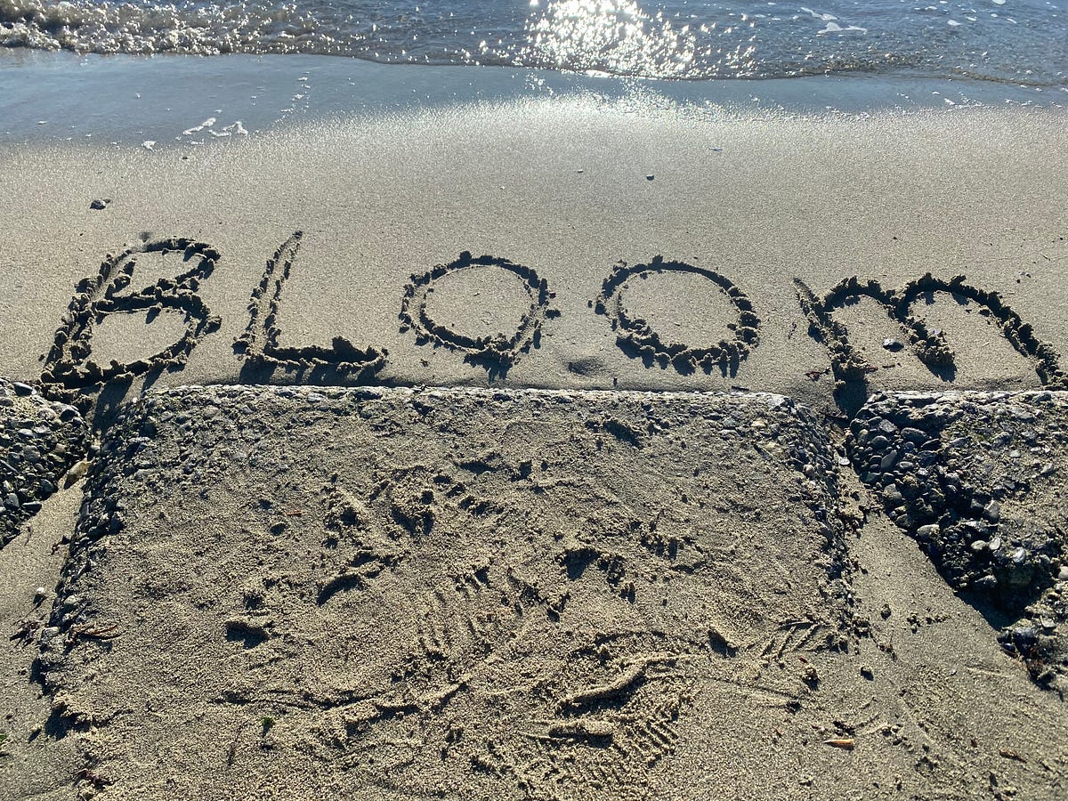What Makes You Bloom?. January Six Word Photo Story Challenge… | by ...