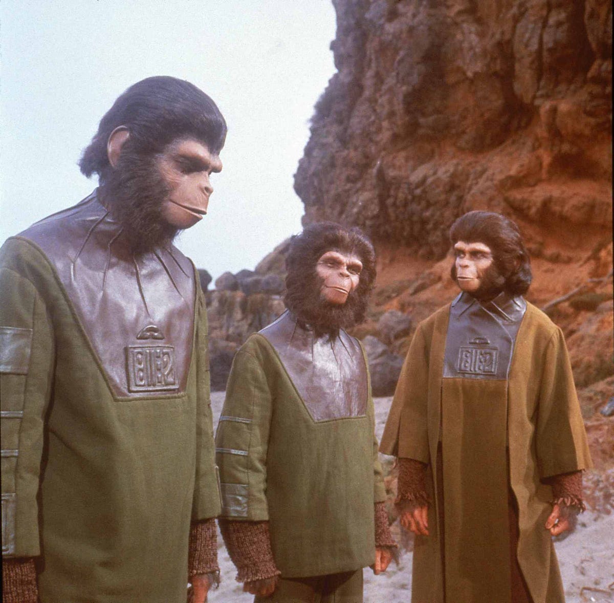 Planet of The Apes — A Deep Dive into Social Hierarchy. | by Nick ...