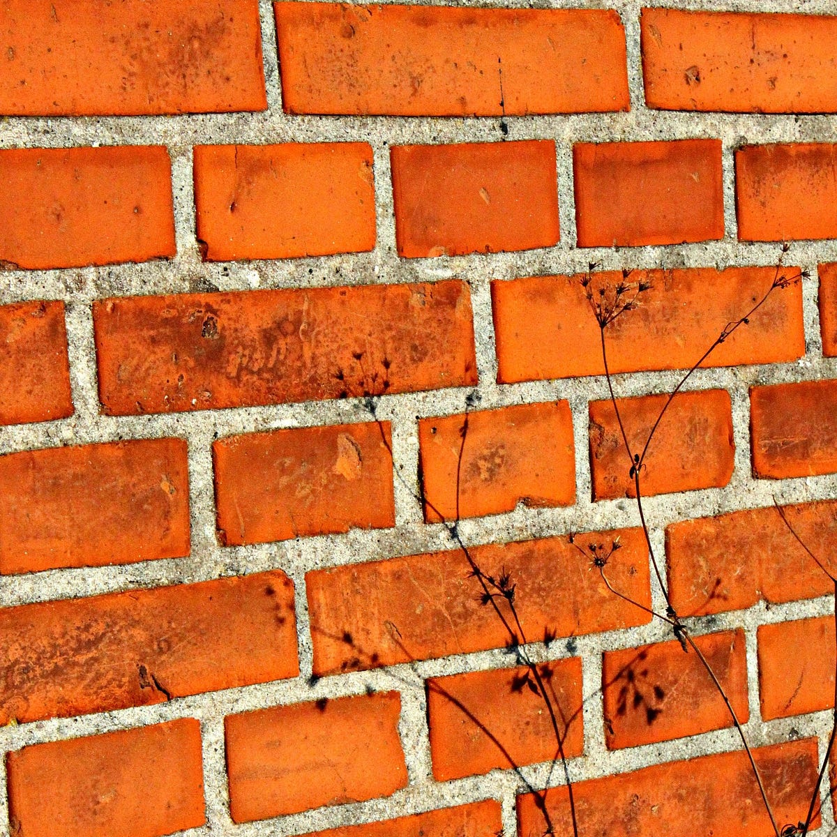 The Danish Wall And Its Cracks. Denmark has built an impressive barrier ...