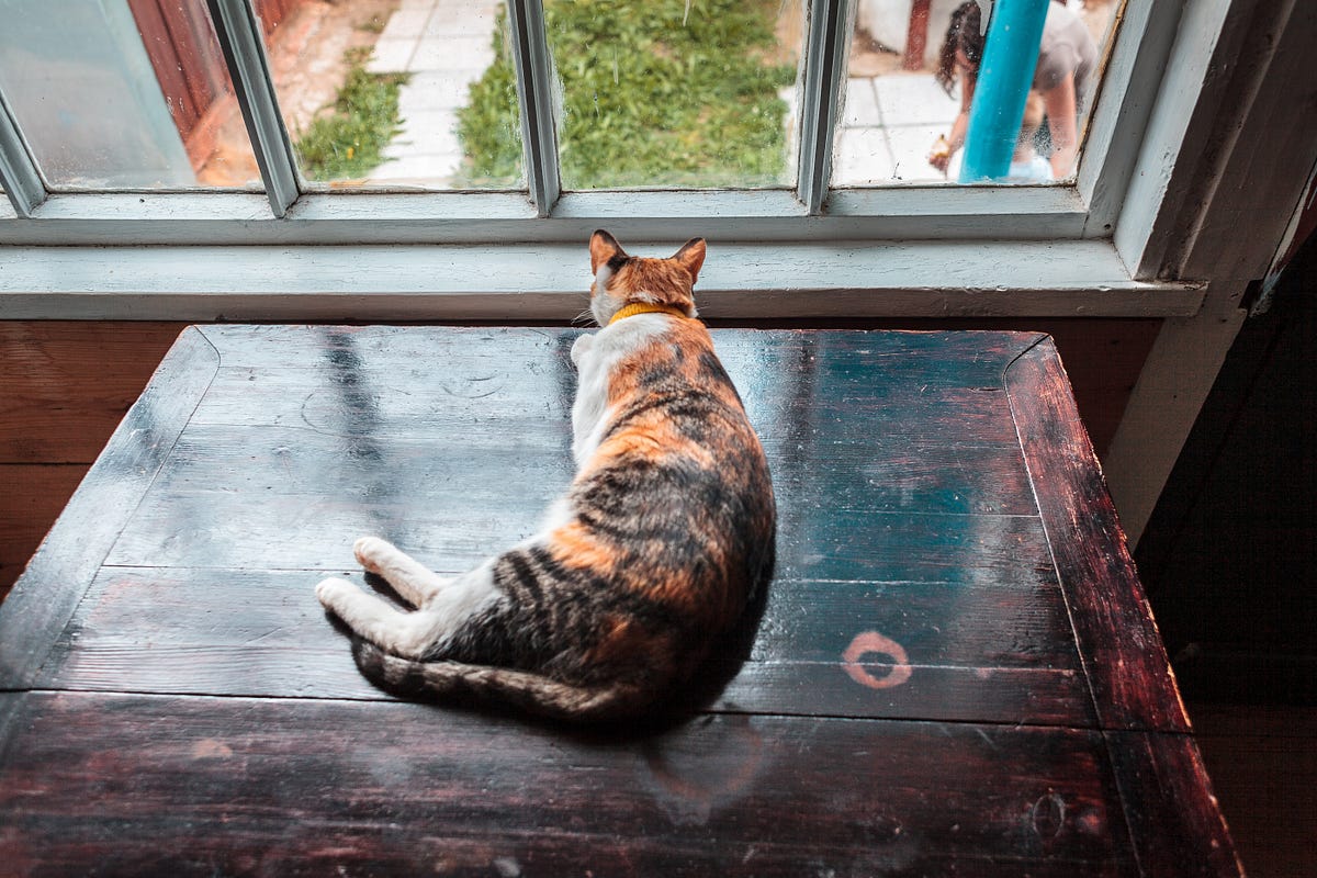 On Continuing the Freelance Creative Slog | by Nina Jervis | Freelance ...
