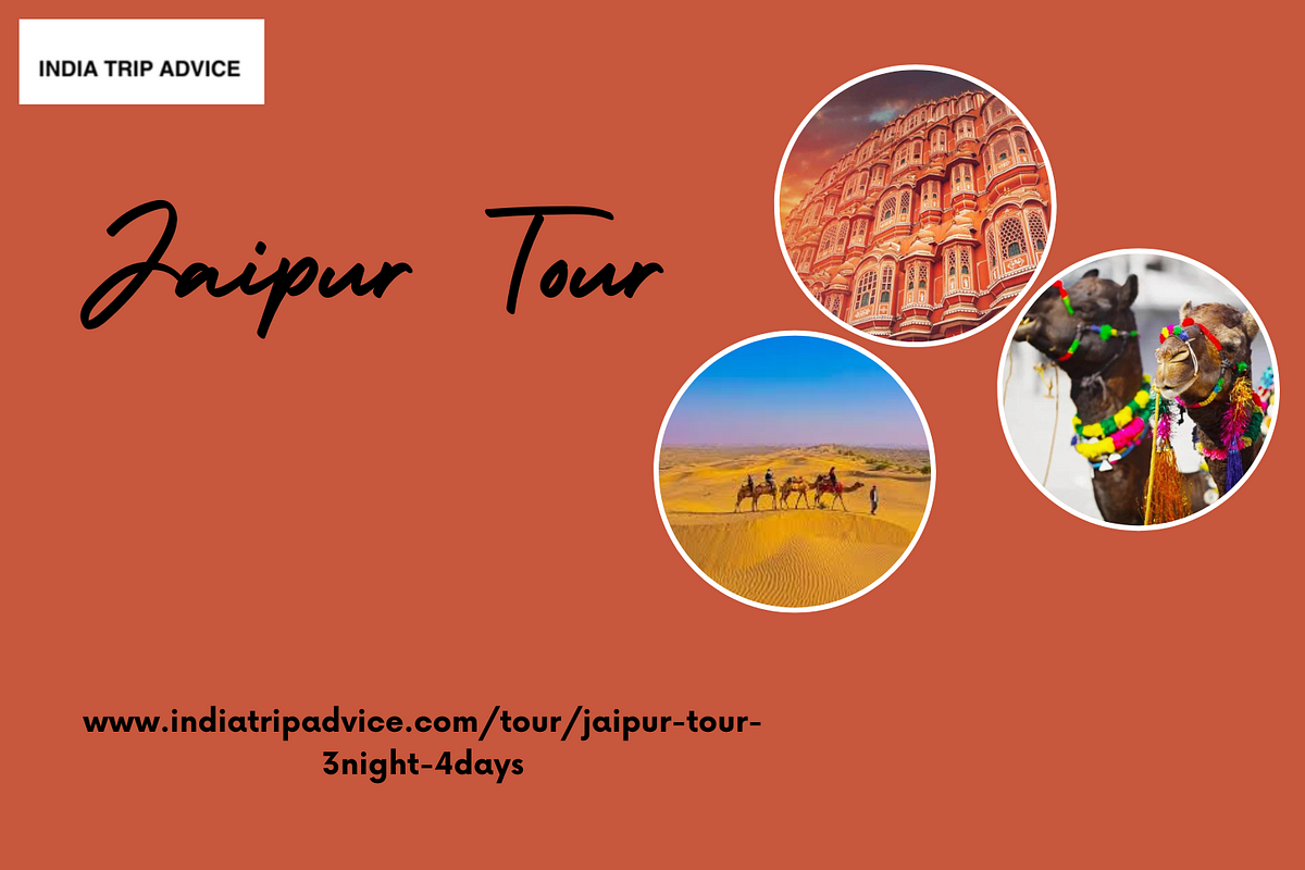 Jaipur Tour. Introduction | by Indiatripadvise | Jul, 2024 | Medium