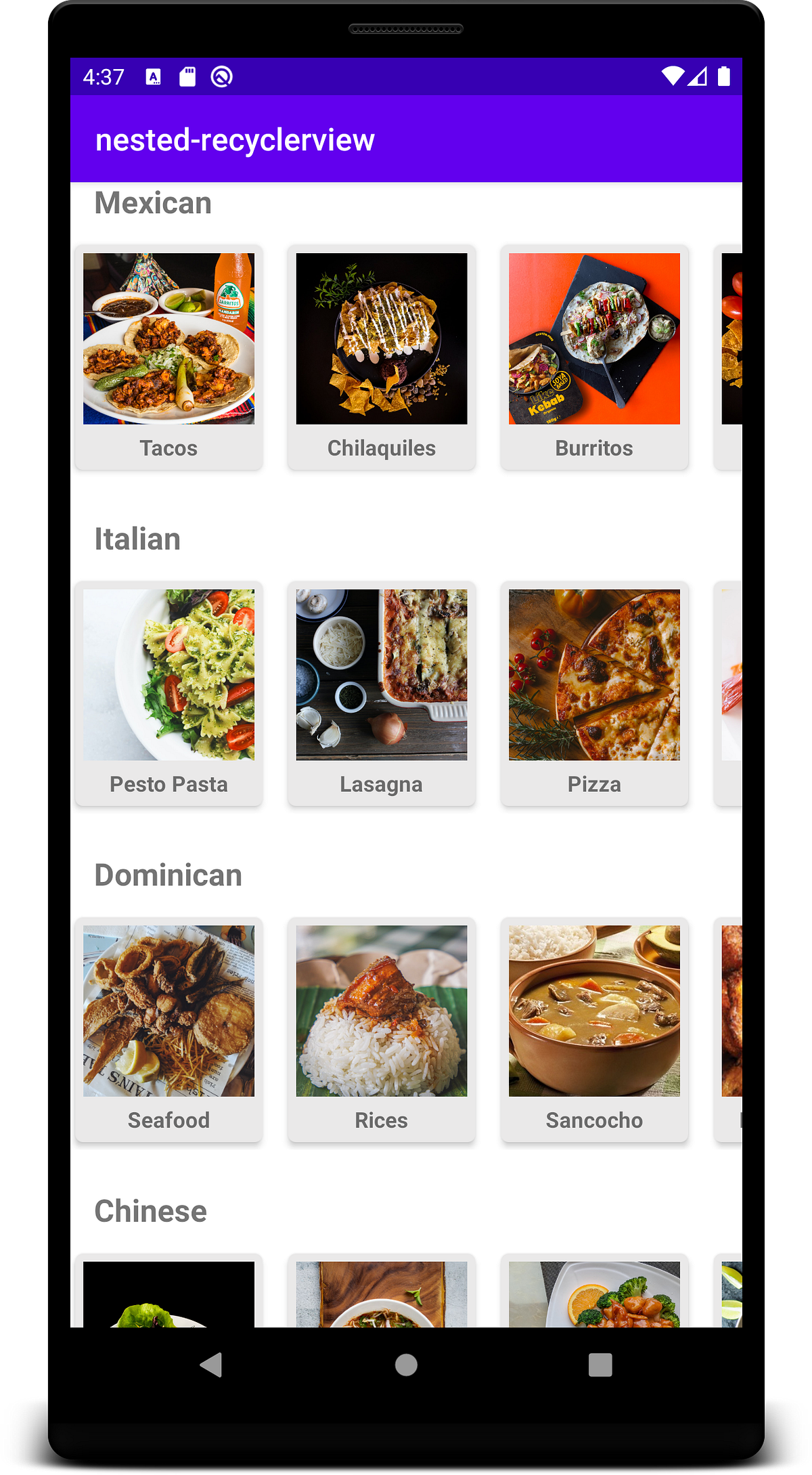 Building Nested Lists with RecyclerView | by Eury Pérez Beltré | Medium