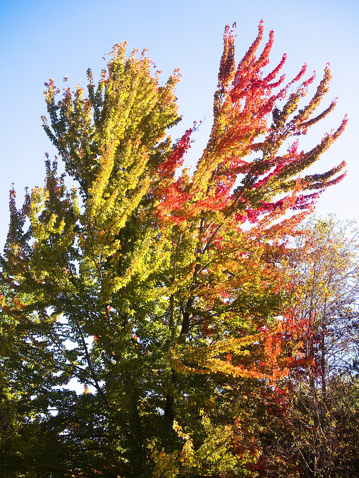 10 Images of Autumn’s Inspiration | by Carol Gordon | SNAPSHOTS | Medium