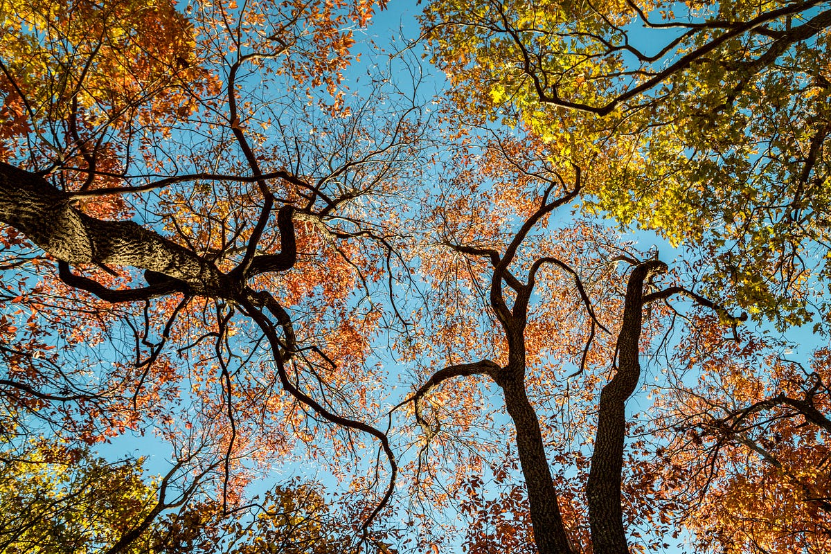 You Don’t Deserve Your Own Future | by Benjamin Erlandson, Ph.D. | Medium