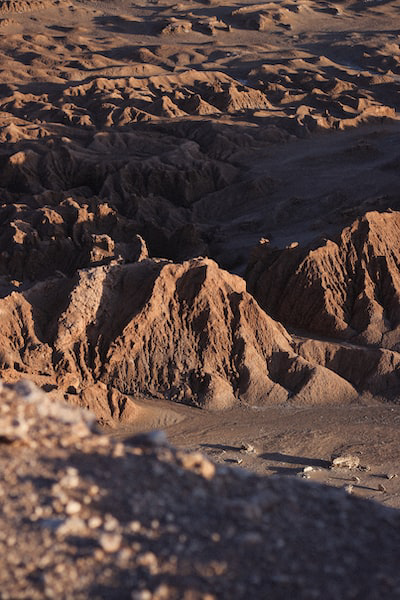 Food on Mars and the Moon: Nourishing Future Astronauts | by Rohinaarif ...