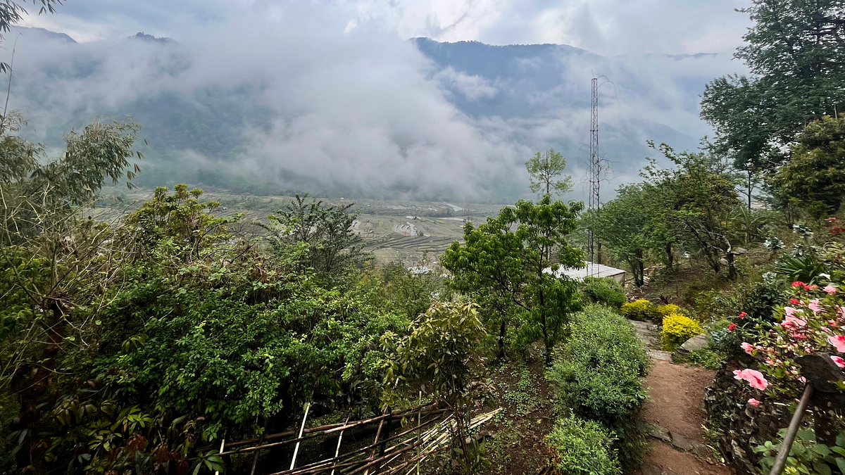 Nagaland: The Land of Festivals and Natural Beauty | by Ashique | Medium