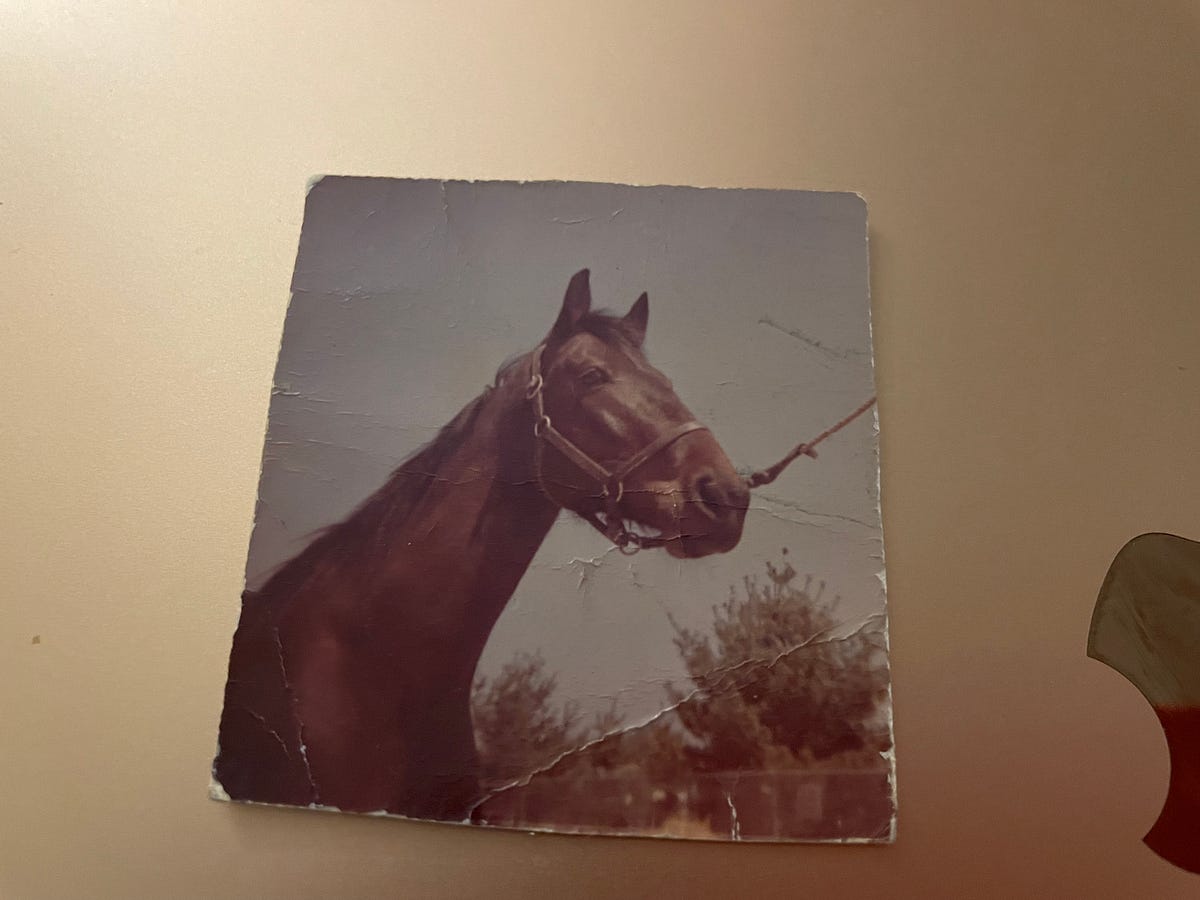 Darn Near Mine. A Horse And A Little Girl | by Susan Payton ...