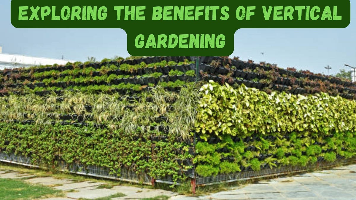 Growing Up: Exploring the Benefits of Vertical Gardening | by vinay ...