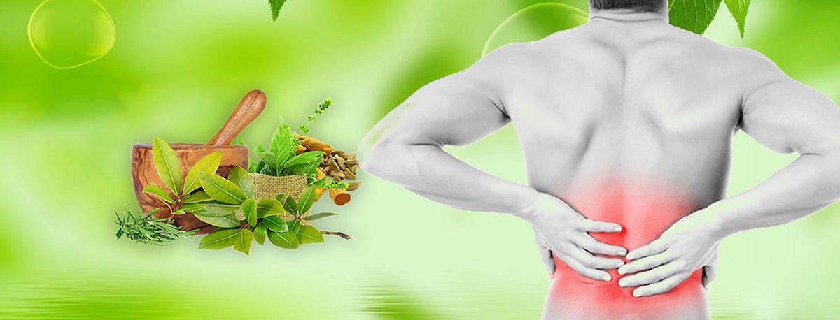 Alleviate Back Pain Naturally with Ayurveda: AYUSHCARE Medical Centre ...
