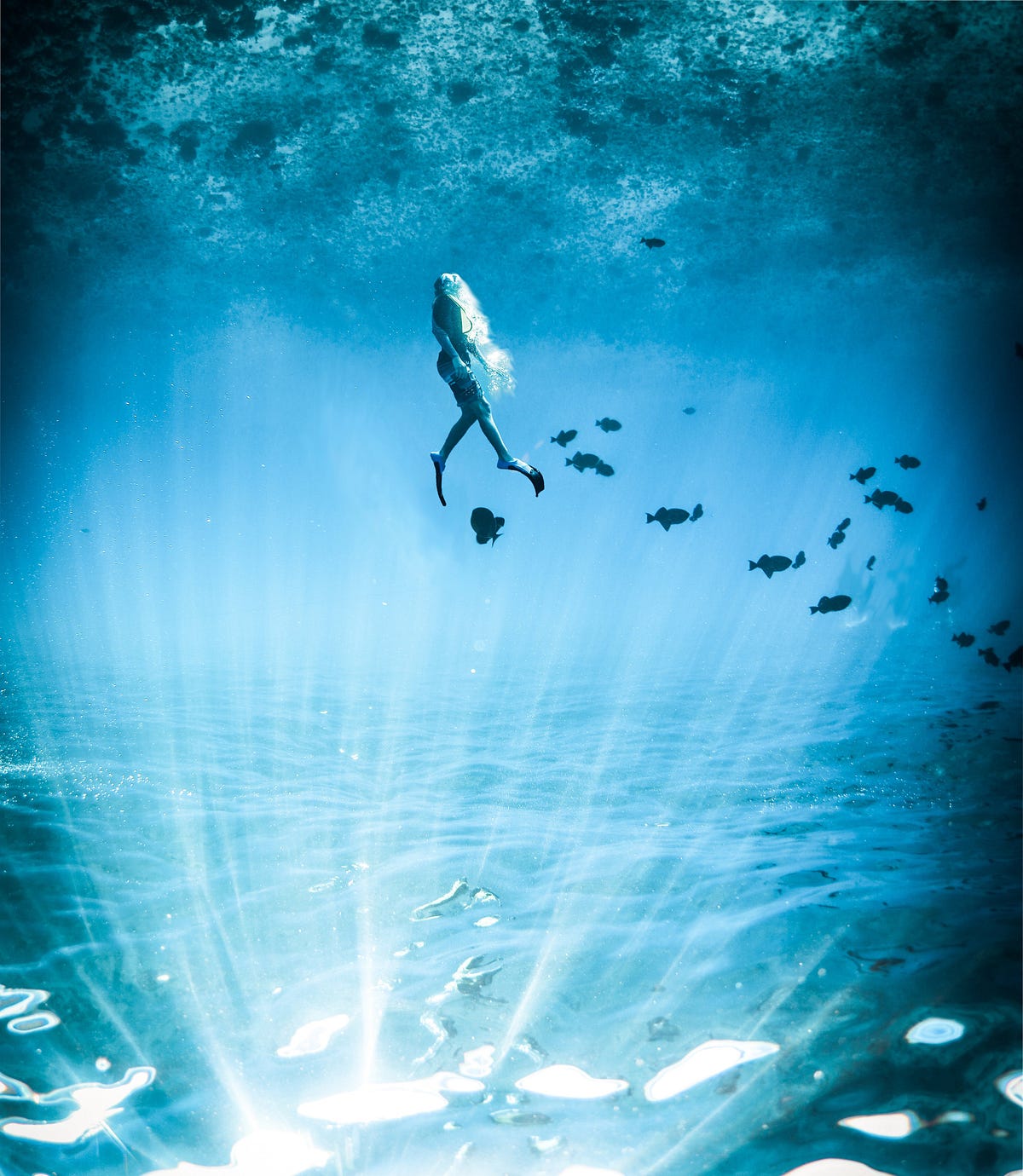 Diving Deep. Into the Wonders of the Universe | by Poonam Vashist ...