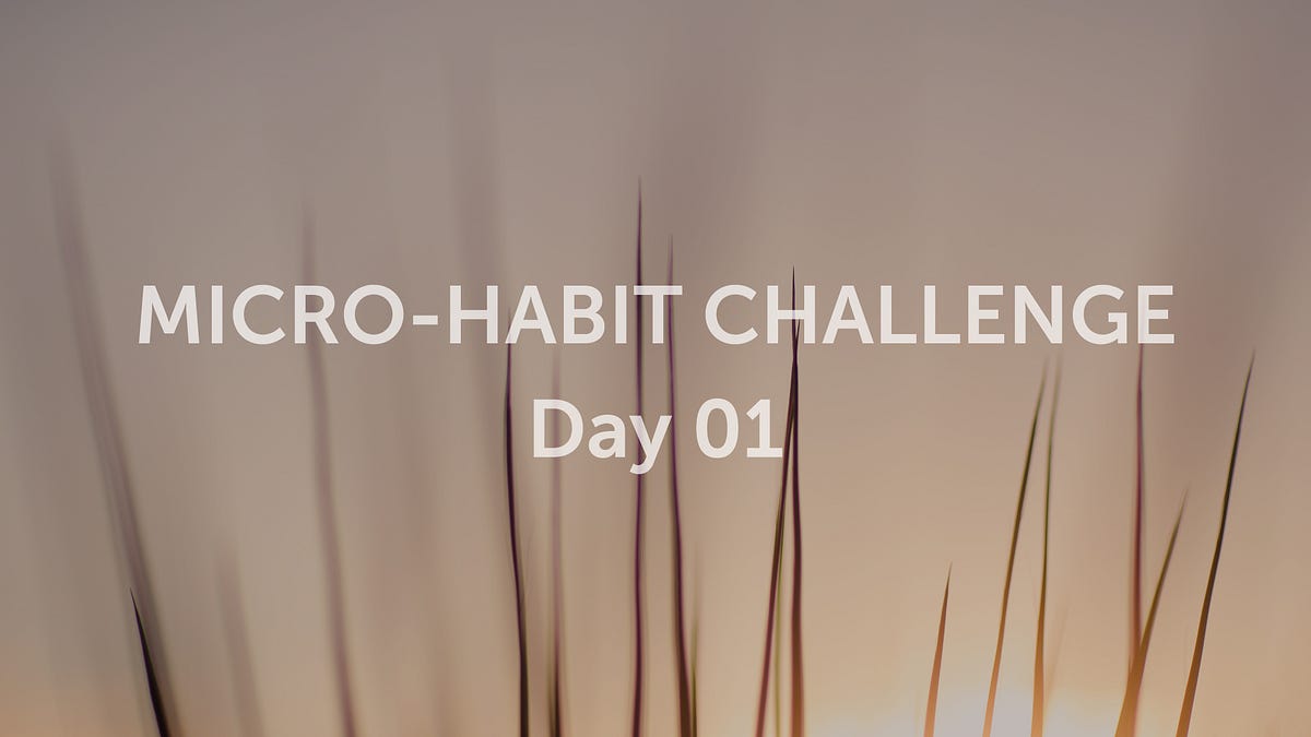 Two Week “Micro-Habit” Challenge: Day 01 | by Amina Moreau | Medium