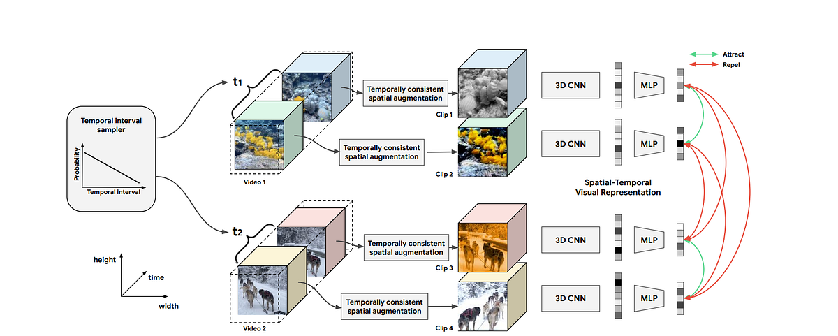 Paper Review: Spatiotemporal Contrastive Video Representation Learning | by Ted | Medium
