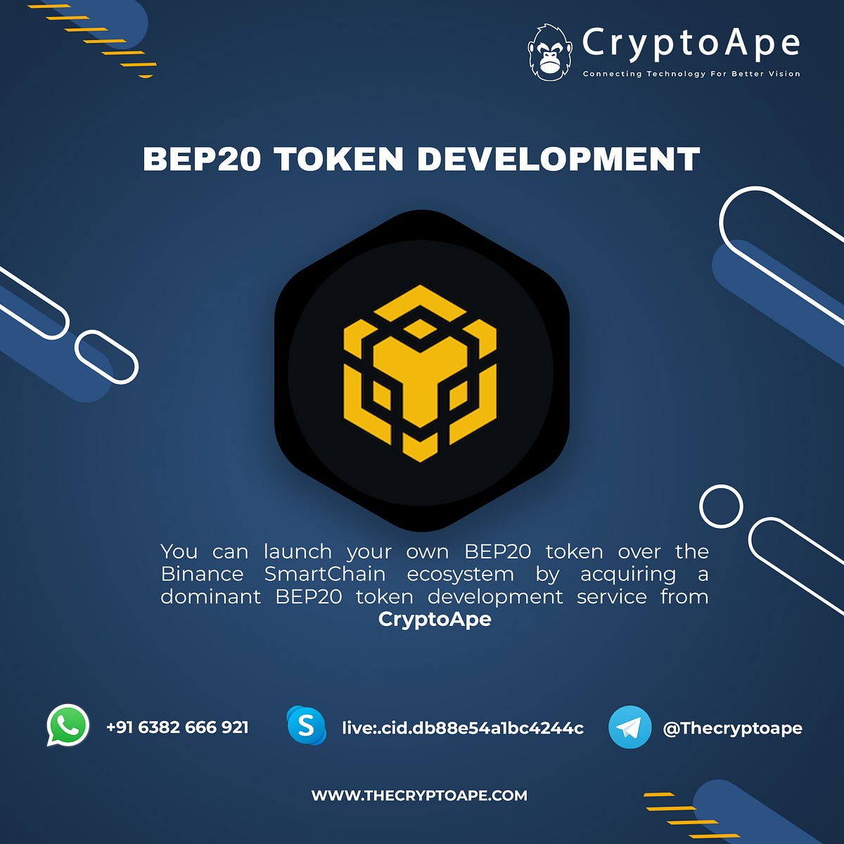 How Do You Store BEP-20 Tokens?. The process of storing your BEP-20 ...