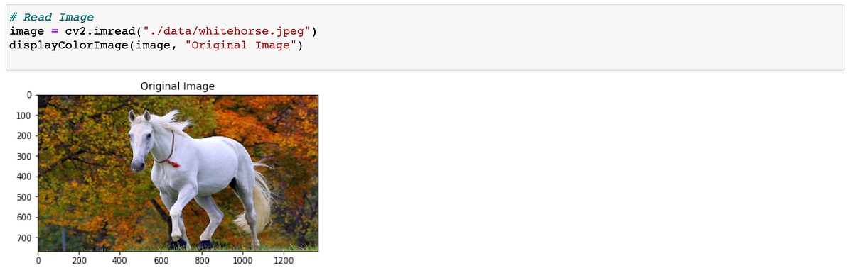 Fundamentals of image thresholding and masking | by Evergreen ...