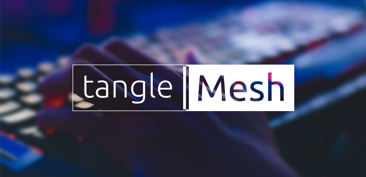An API to the Tangle of IOTA. We at tangleMesh try to make life… | by ...
