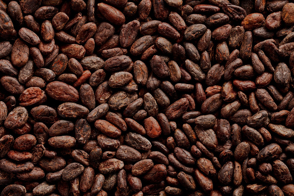 How We Make Chocolate. From bean to bar at Dandelion Chocolate | by ...