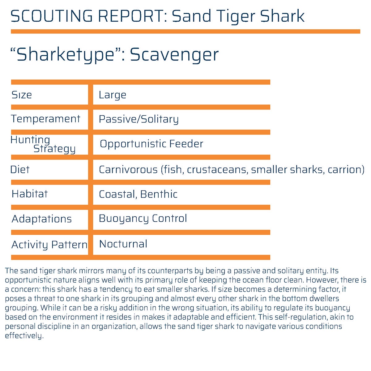 Shark Week 2024 “Sharketypes” The Scavengers 🦈 | by Versify | Jul, 2024 ...