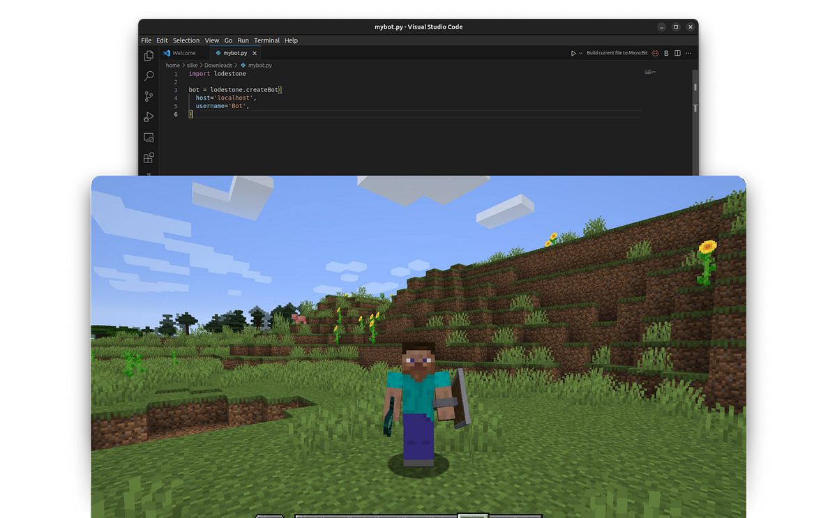 Build Minecraft bots in python using Lodestone. | by Silkepilon | Medium