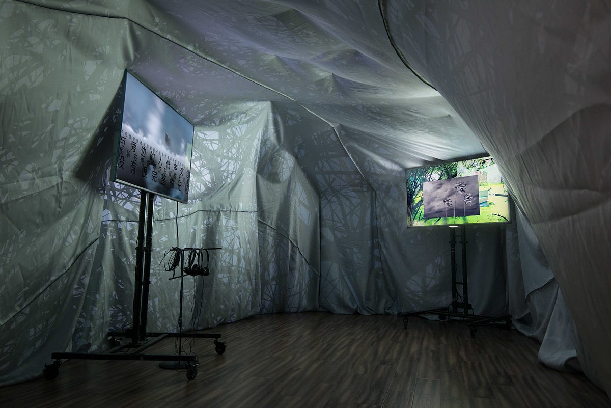‘Head Without A Brain’: A Review of Zhu Changquan at Vanguard Gallery ...