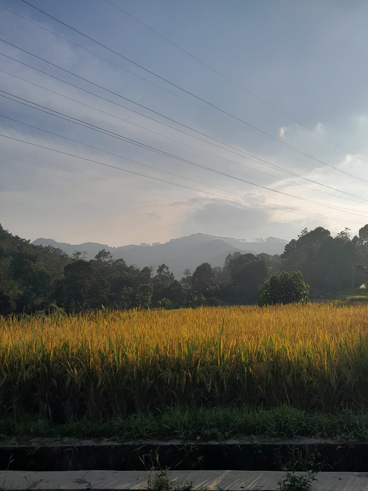 Exploring Pure Happiness. Ini adalah pengalaman pertamaku bisa… | by ...