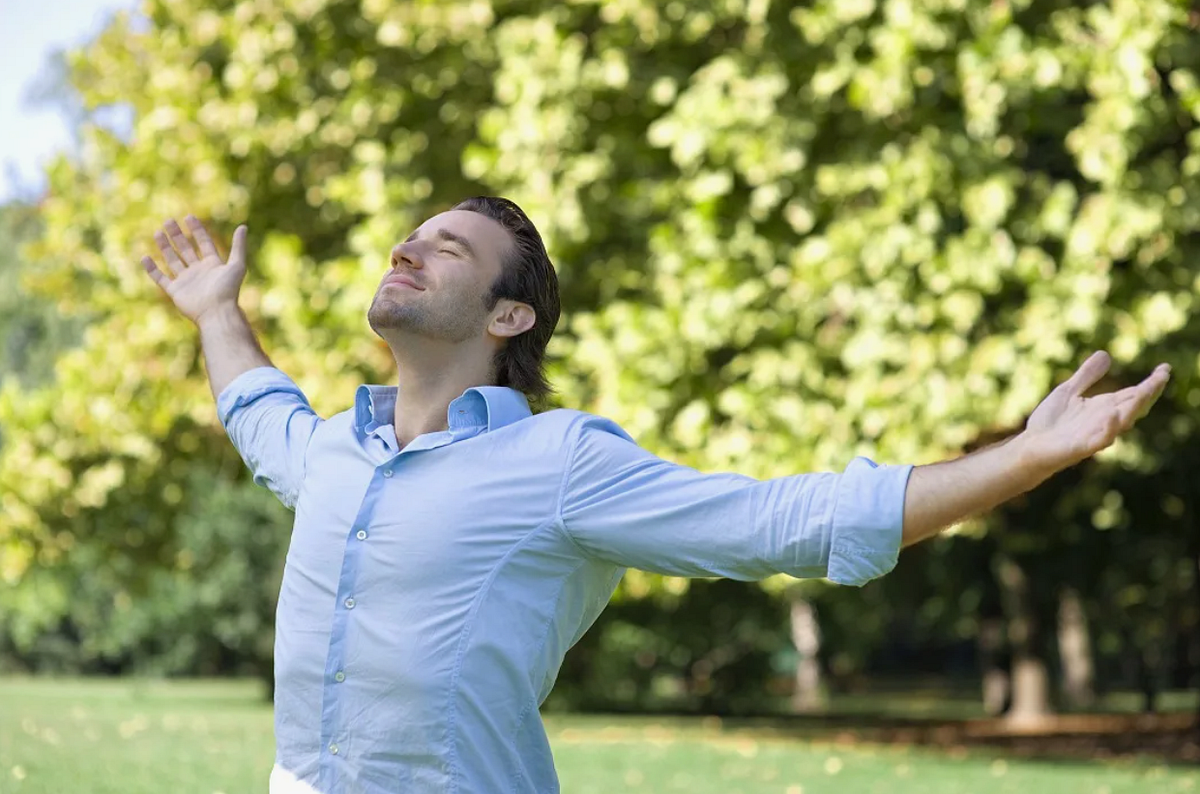 Working to Death? Why Modern People Are Tired of Work and How to Change ...