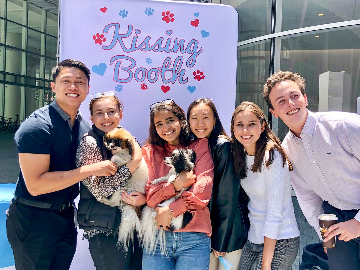 The Impact of Puppies on Corporate Wellness | by Puppyloveparty | Medium