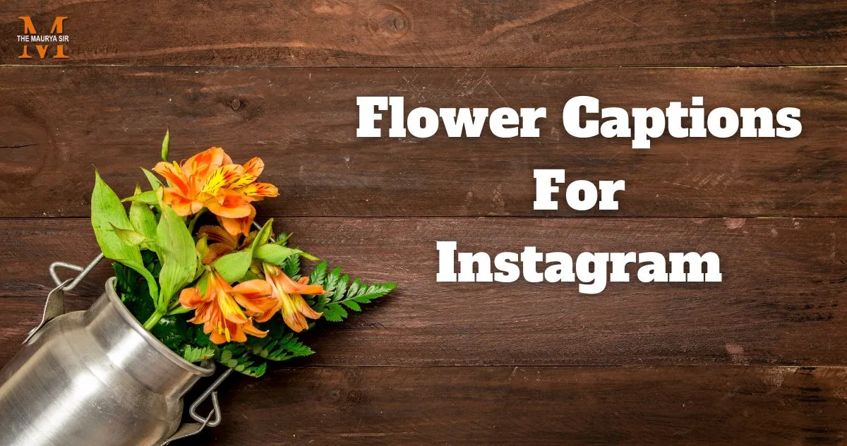 Best Flower Captions for Instagram | by The Maurya Sir | Feb, 2024 | Medium