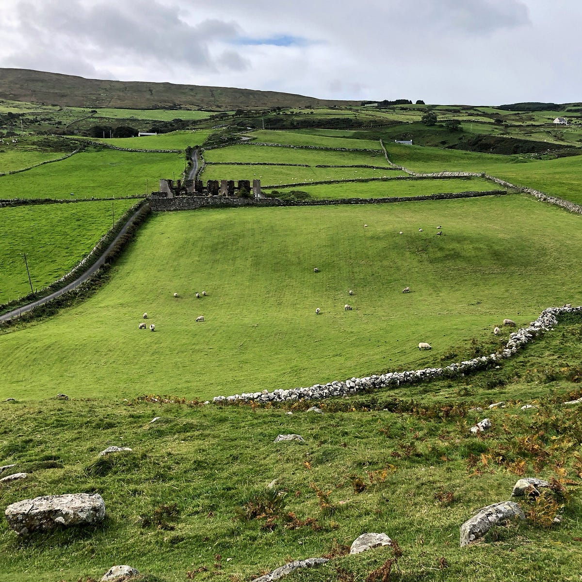 Ireland and Civilization. From the book “How the Irish saved… | by ...