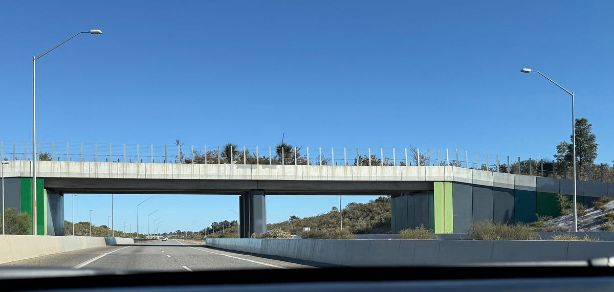 Bridge? Check. Bounce? Check. Zero Roadkill? Check. | by Sandi Parsons ...