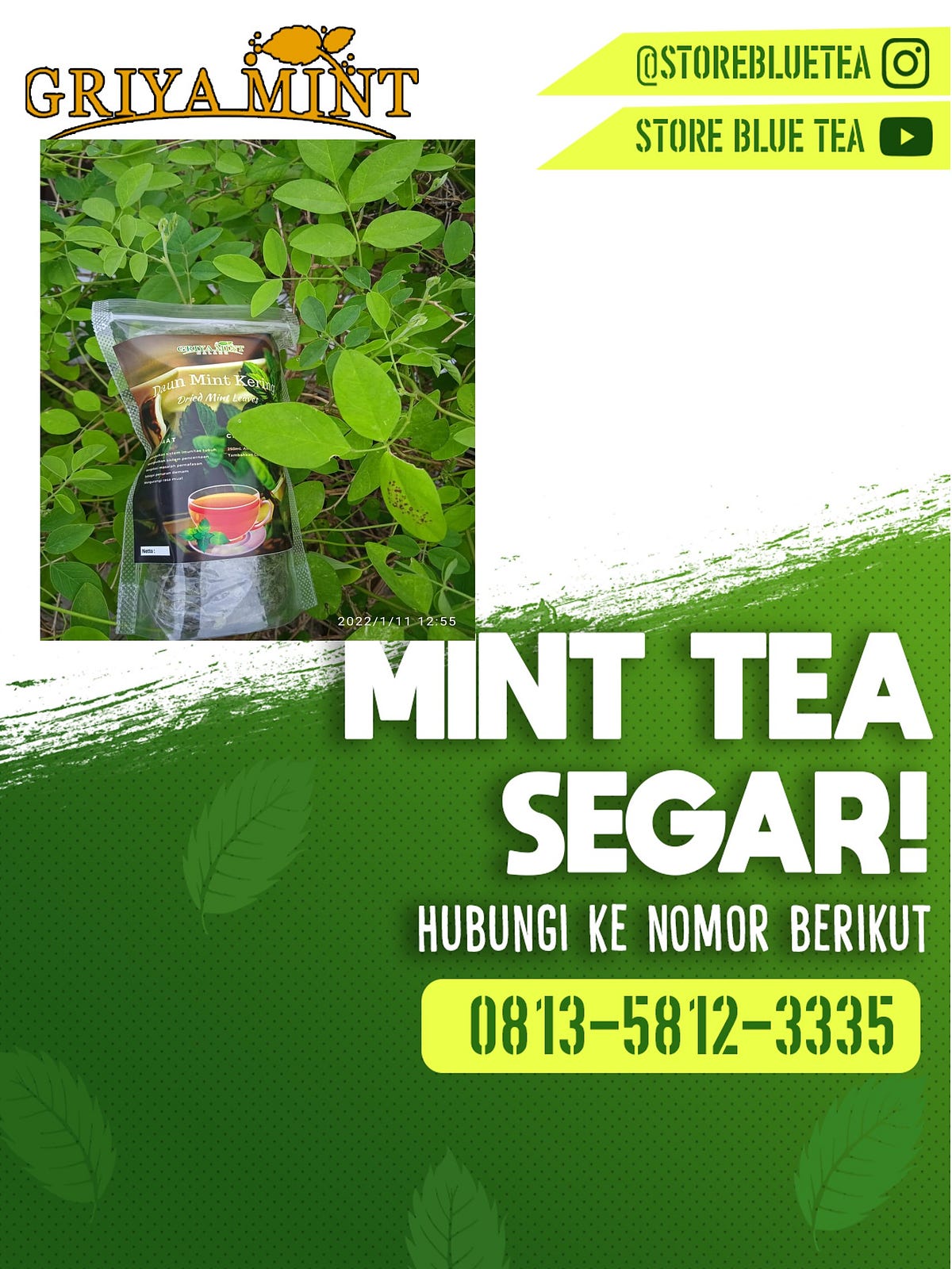 TELANG KERING , WA 0813–5812–3335, Perbedaan Daun Mint Dan Peppermint ...