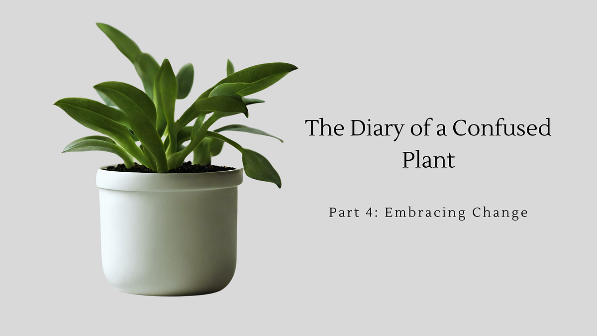 The Diary of a Confused Plant — Part 4: Embracing Change | by Pheaha ...
