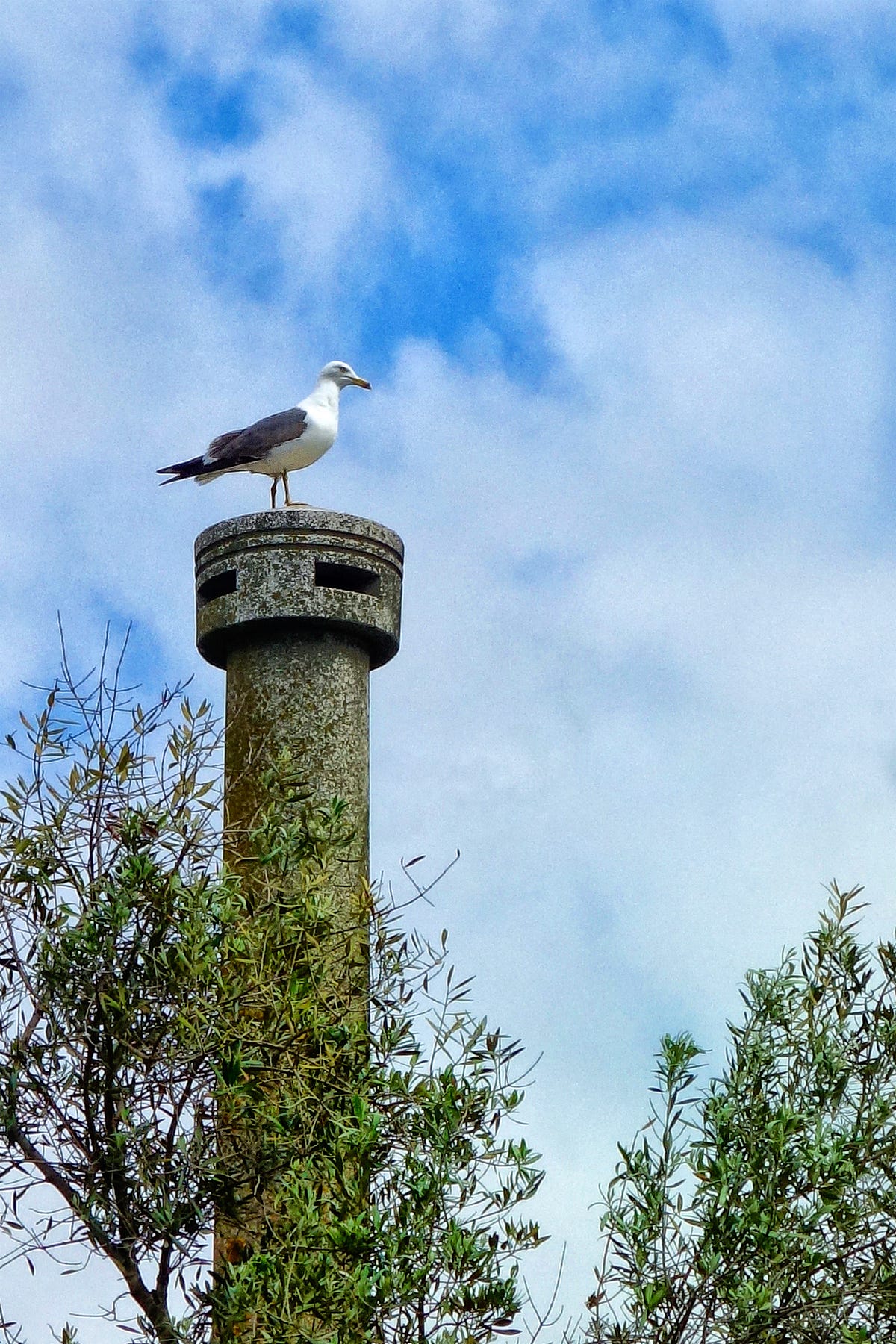 A Perfect Puzzlement. Taking a second look | by Ronald C. Flores-Gunkle ...