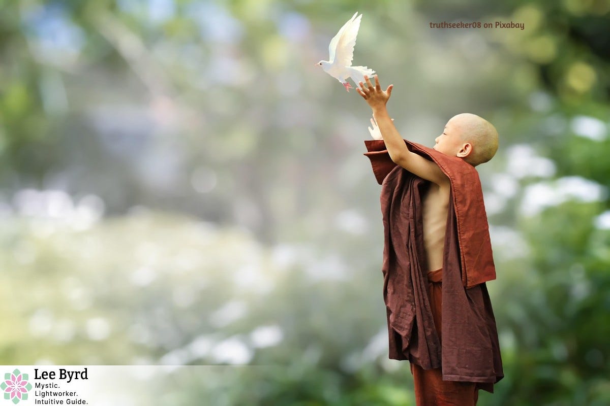 Why We Cry: Walking For Peace | Ethereal Entries