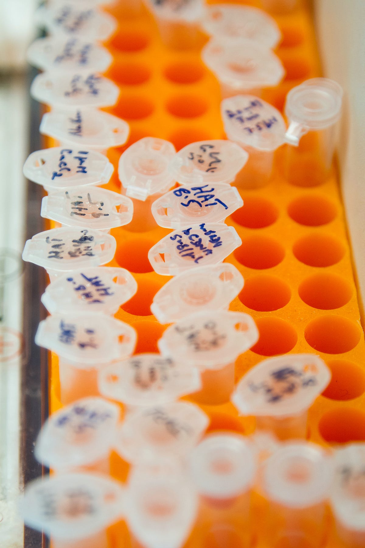 Assay models: blue-collar AI in the biology lab | by Jake Feala | Medium