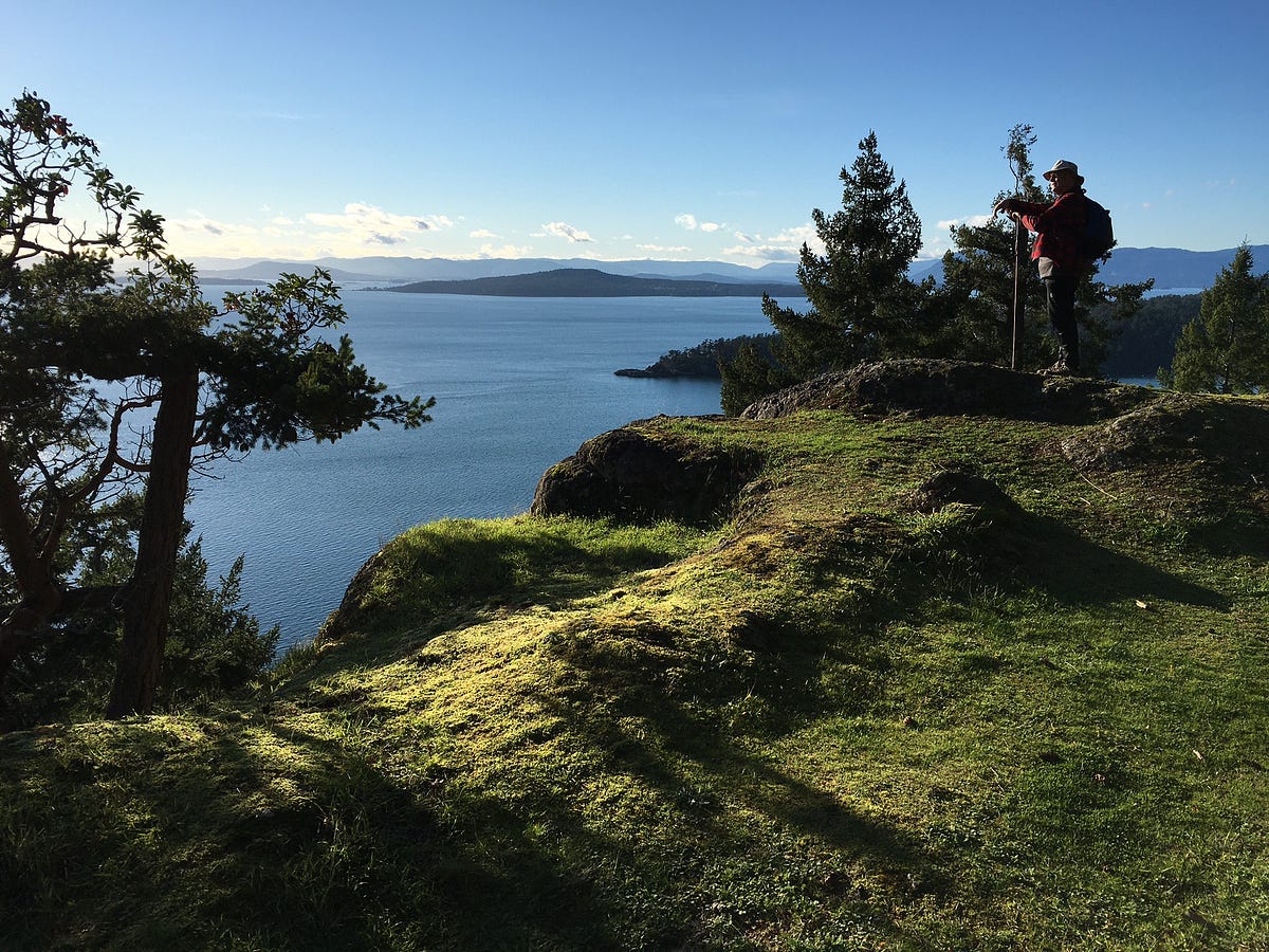 A Walk In Nature - Six Word Photo Story Challenge - Medium